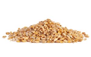 Grain & Feed | Simatek